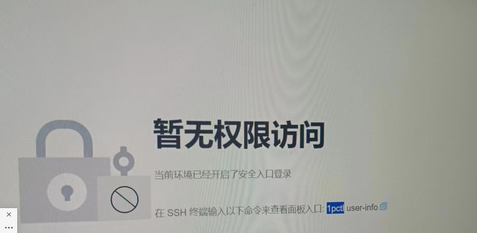 Feature 在安全入口错误情况下不显示提示页面 · Issue 2594 · 1panel Dev1panel · Github 