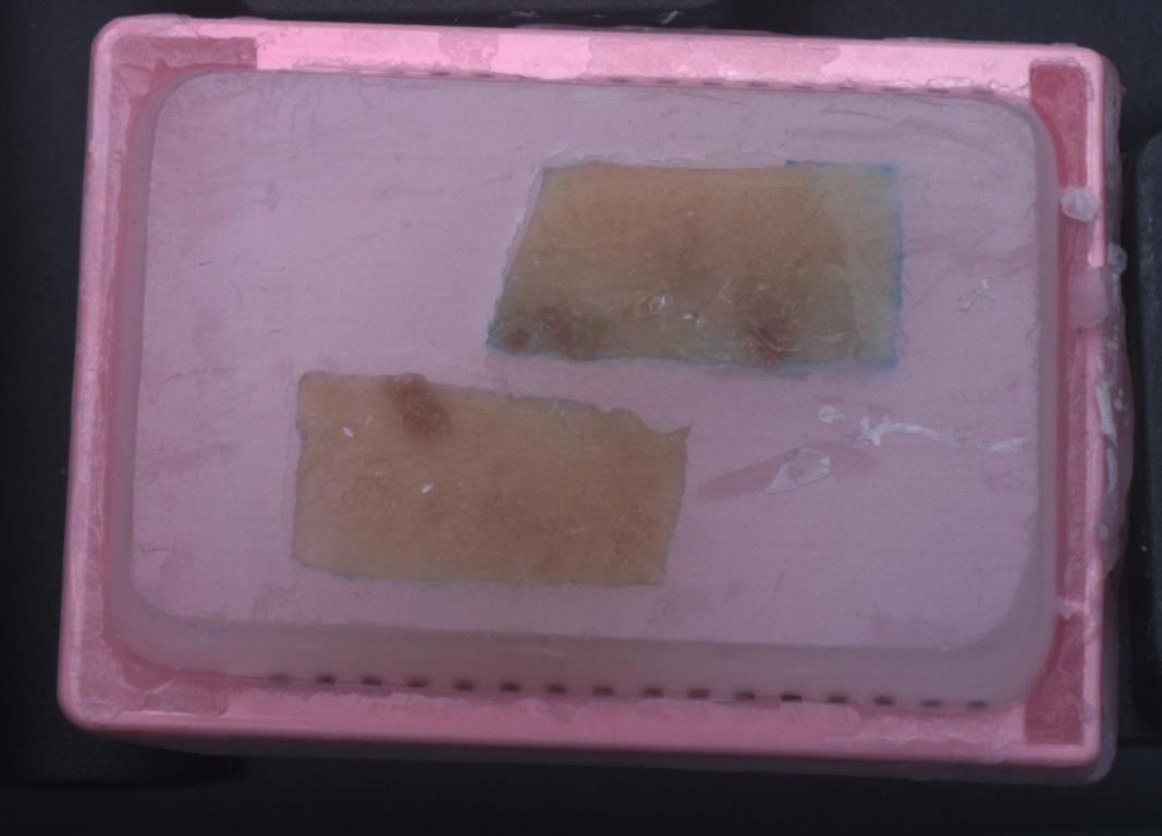 Training for two classes · Issue #3196 · open-mmlab/mmsegmentation · GitHub