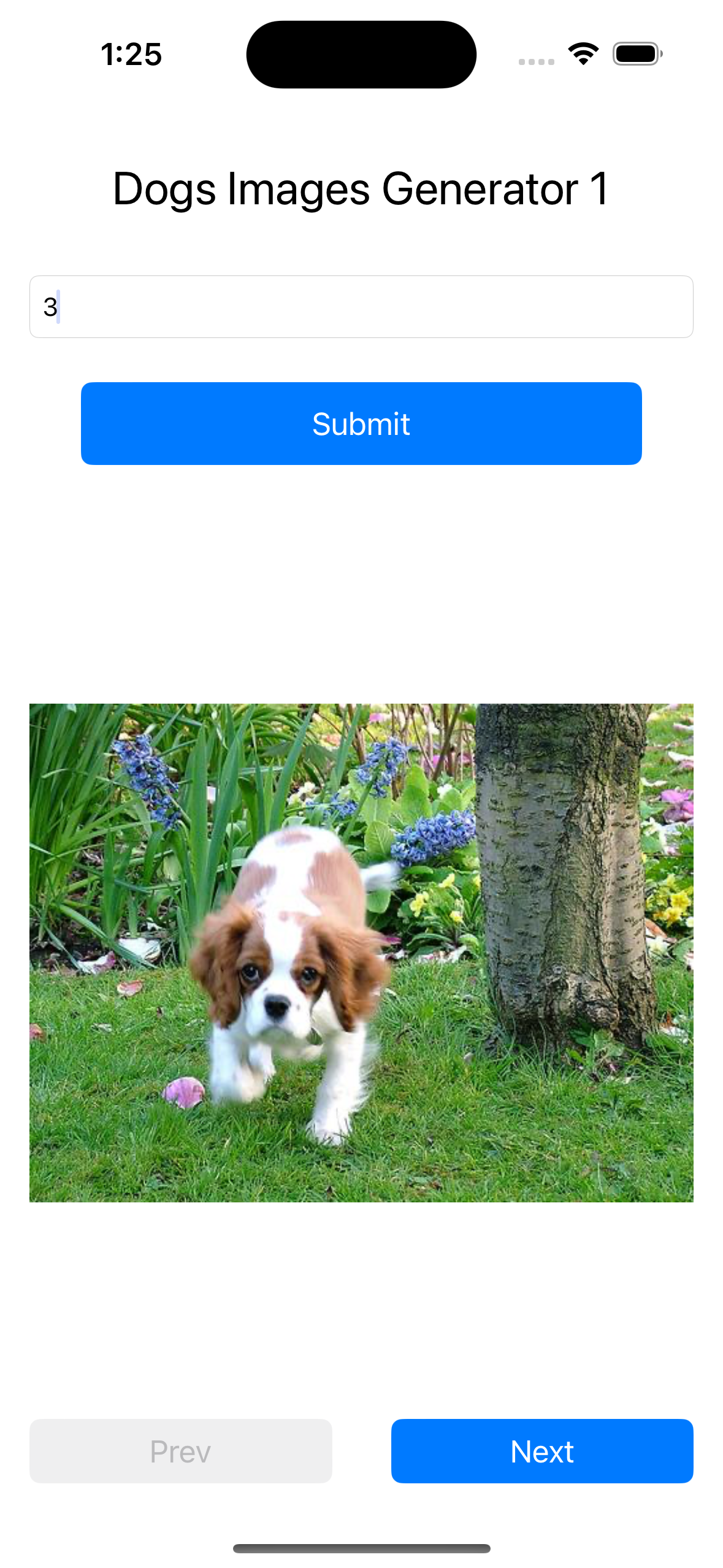 GitHub - broxigarthered/dogs-images-generator: Dogs images generator ...