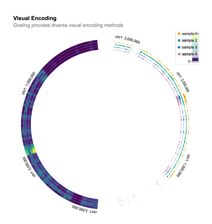 Circular layout for dummy track · Issue #951 · gosling-lang/gosling.js ...