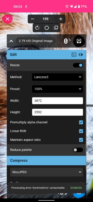 Resize consistently causes Processing error: RuntimeError: unreachable · Issue #988 ...