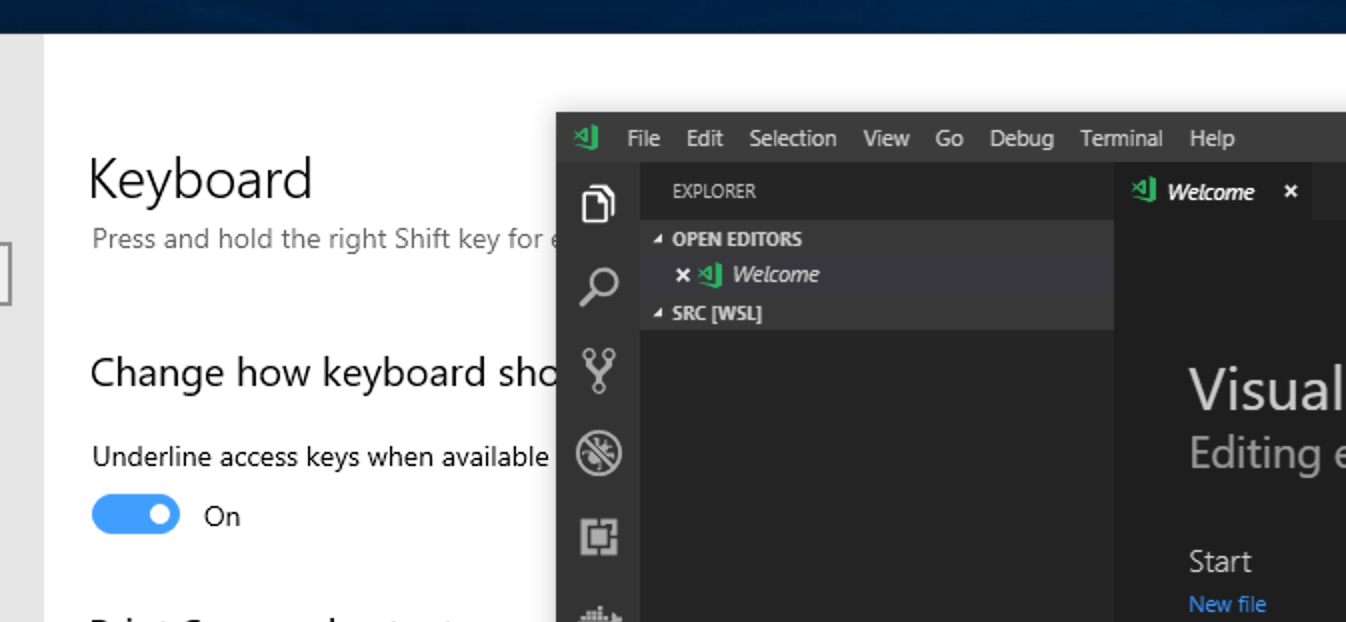 Respect "underline access keys when available" setting on win10 · Issue ...