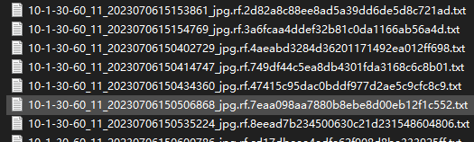 How to import annotated datasets · Issue #94 · CVHub520/X-AnyLabeling ...