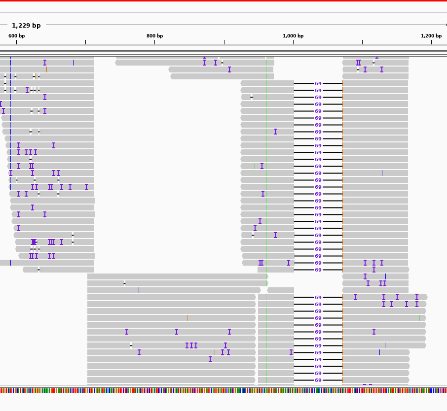 Deletion not being called despite large majority of mapped reads supporting it. · Issue #1348 ...