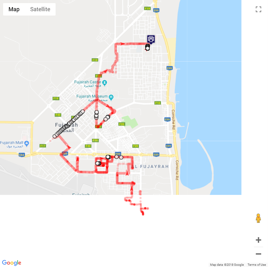 When trying to get an image for a google map, I get it incomplete ...