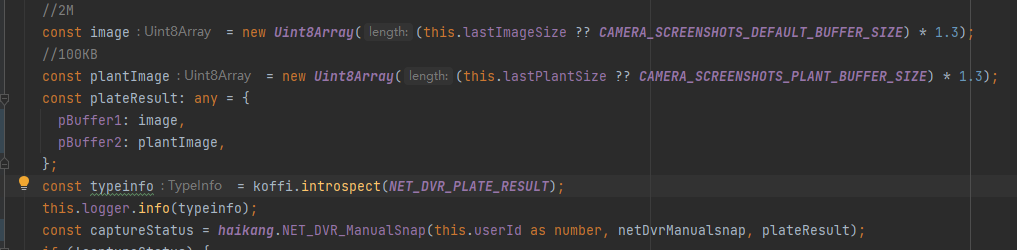 The output parameter structure is passed into the buffer · Issue #62 · Koromix/rygel · GitHub