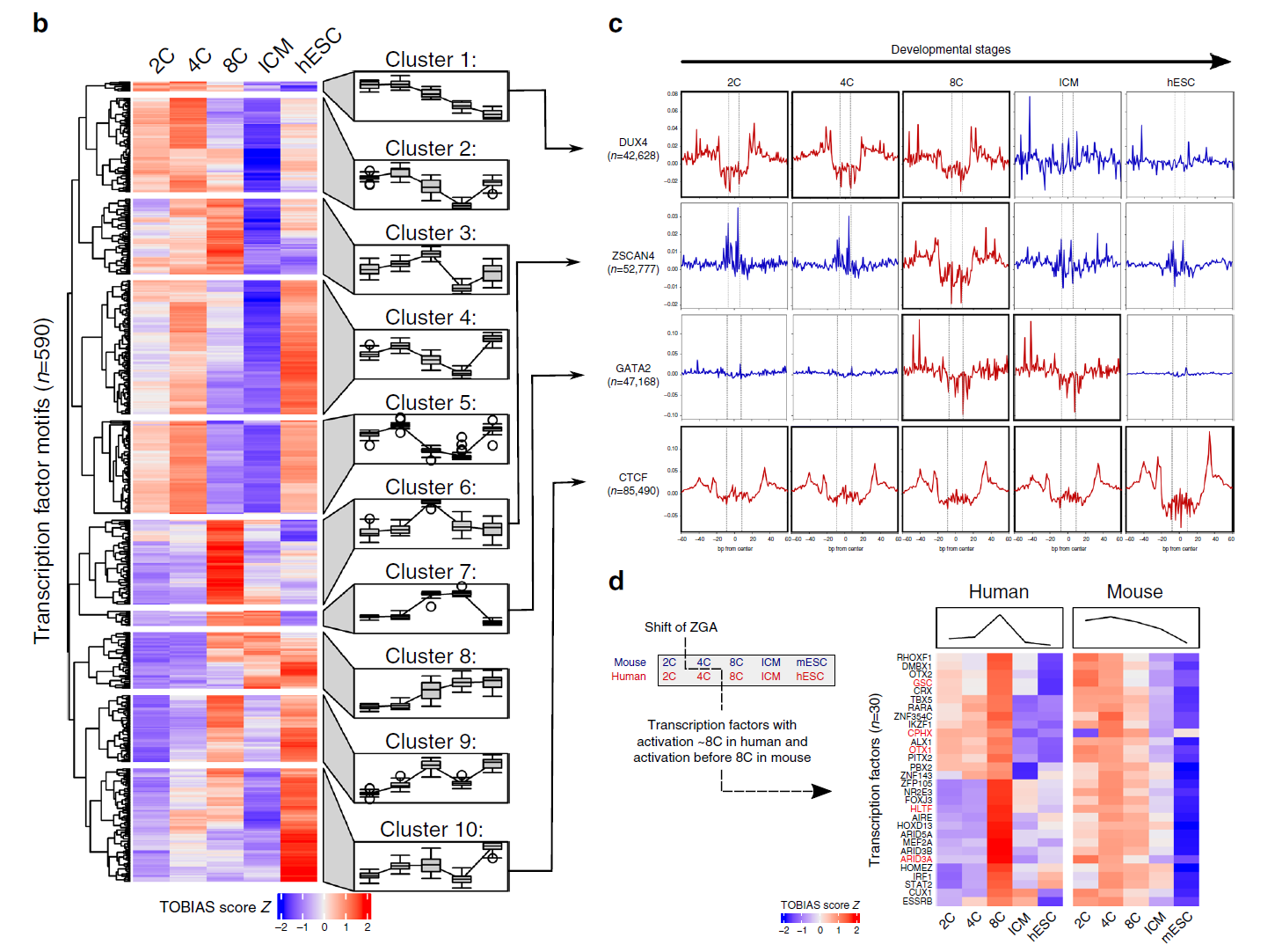 Different locus numbers across conditions and Strategies for Multi-Tissue TF Footprint Score ...