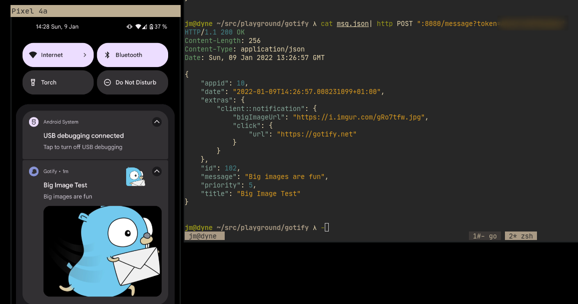bigImageUrl Extra Possibly Not Working · Issue #204 · gotify/android · GitHub