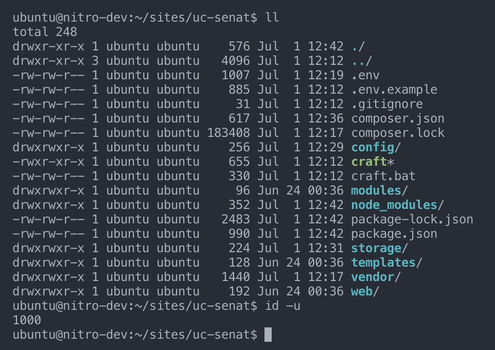Issue with file ownership (user 1000) · Issue #181 · craftcms/nitro · GitHub