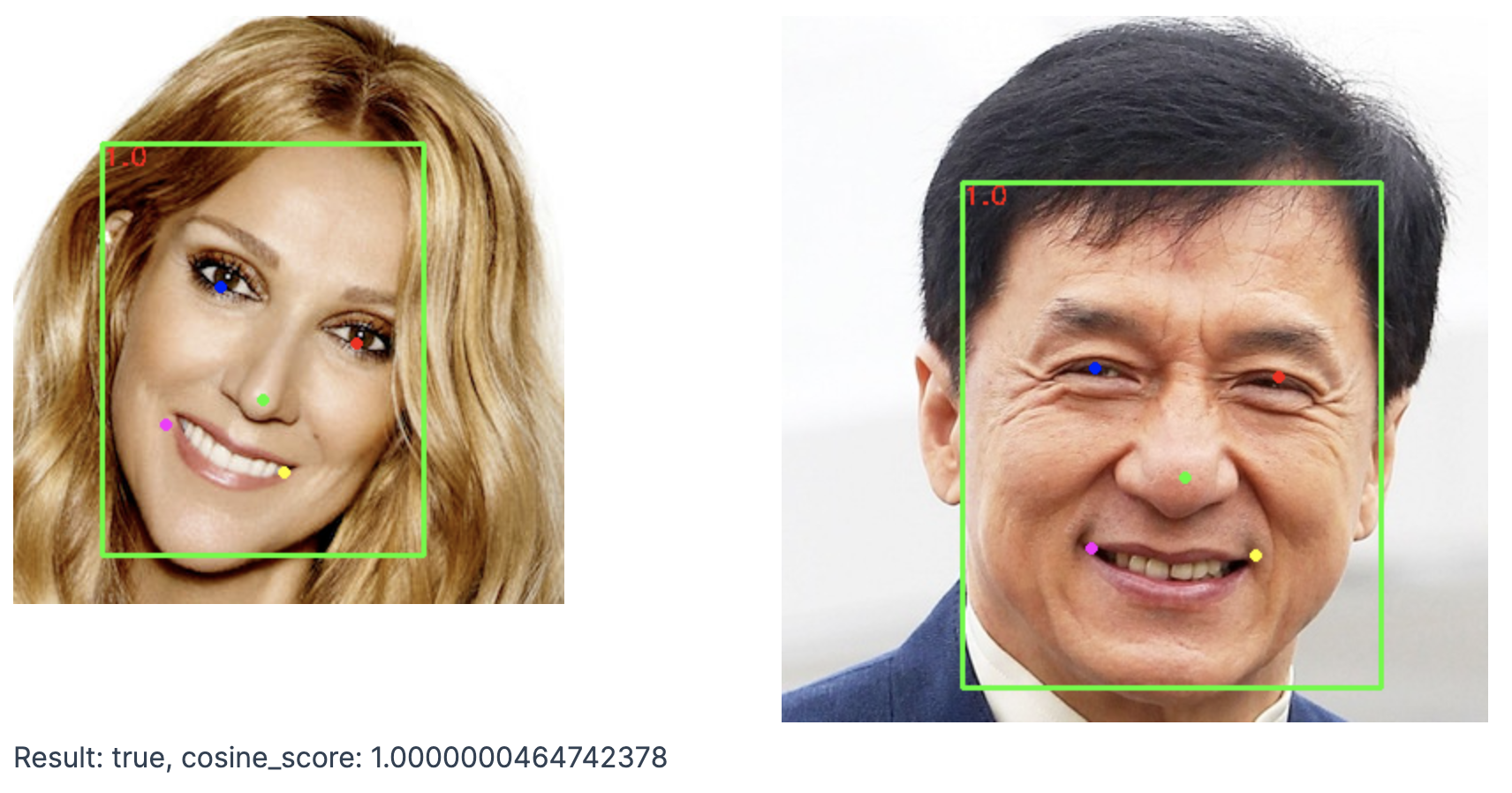 Face recognition always answers that the two photos are of the same person. · Issue #206 · cocoa ...