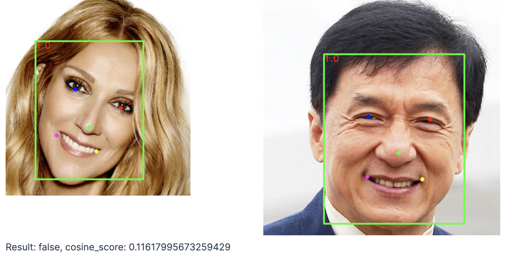 Face recognition always answers that the two photos are of the same person. · Issue #206 · cocoa ...