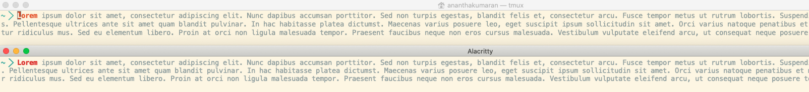 Bolder Font Rendering on macOS · Issue #4033 · alacritty/alacritty · GitHub