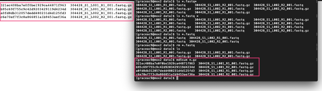 Trinity: Error; cannot find path to bowtie2 · Issue #452 · RobertsLab/resources · GitHub