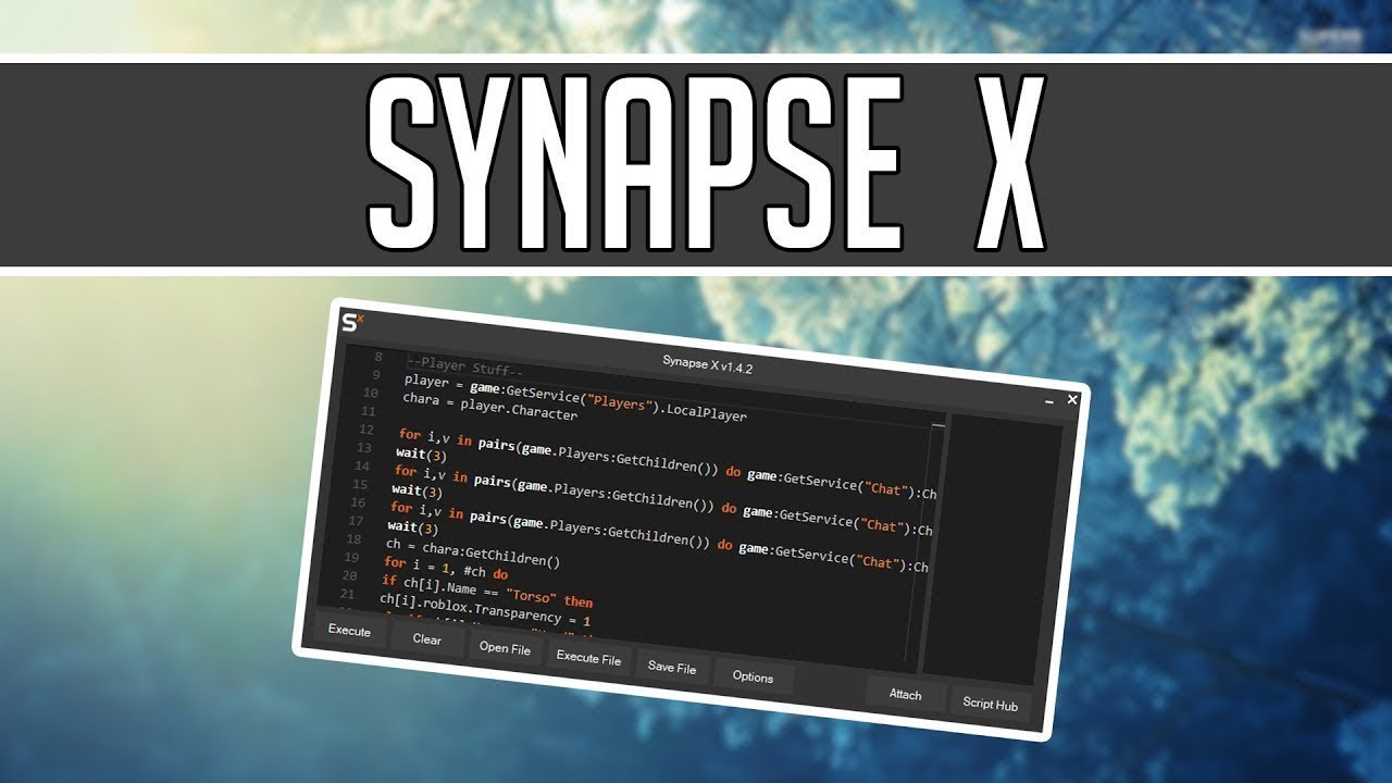 Synapse X Crack