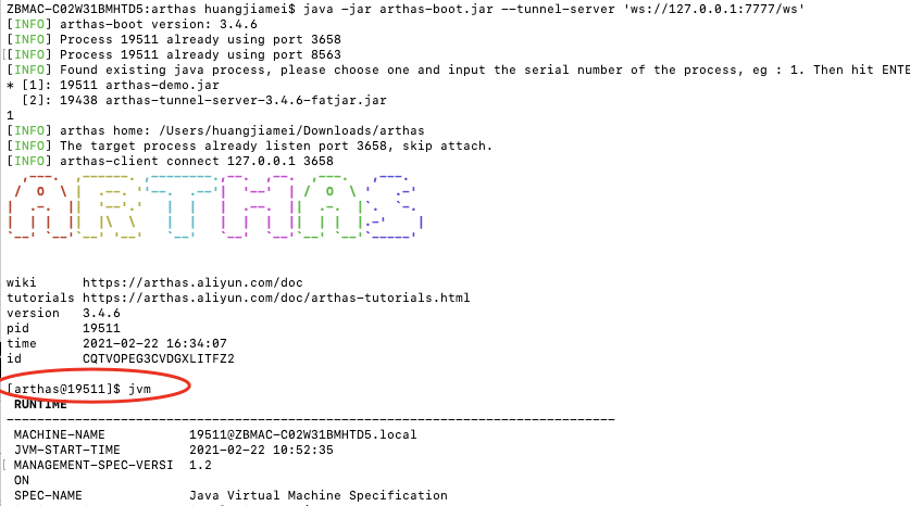 arthas tunnel server管理远程的agent（以命令行的模式操作，而非web console） · Issue #1703 · alibaba/arthas · GitHub