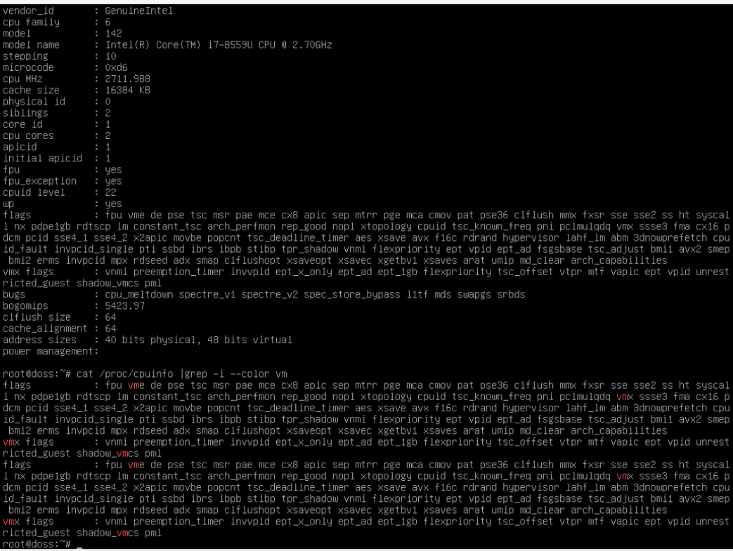 cant run wsl2 in a virtual Windows 10 Pro 2004 created from qemu ...
