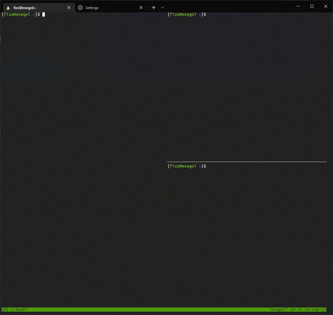 Pane delimiters in tmux disappear for certain fonts at small sizes · Issue #9235 · microsoft ...