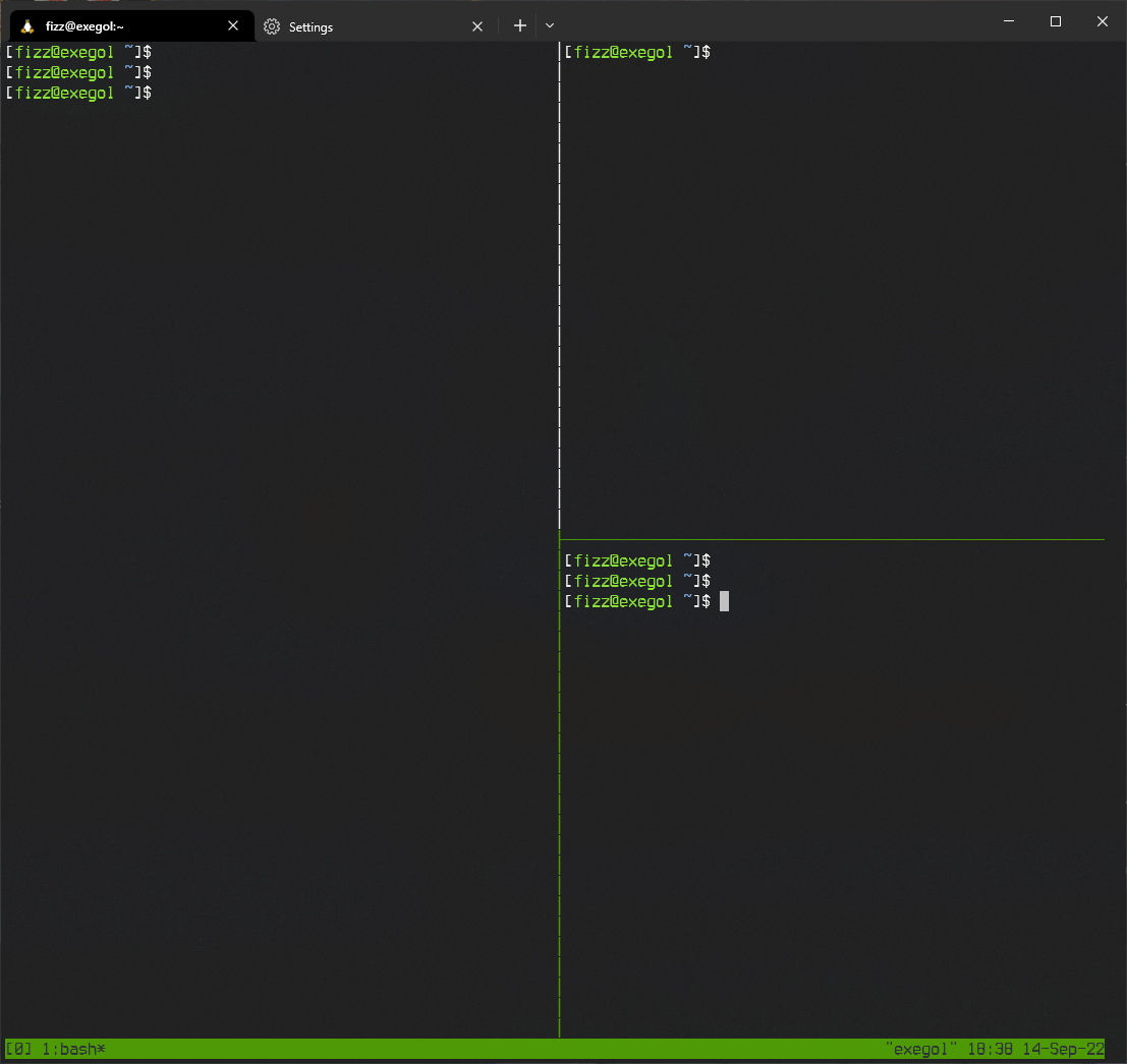 Terminus TTF Font not rendering properly at certain sizes · Issue #14006 · microsoft/terminal ...