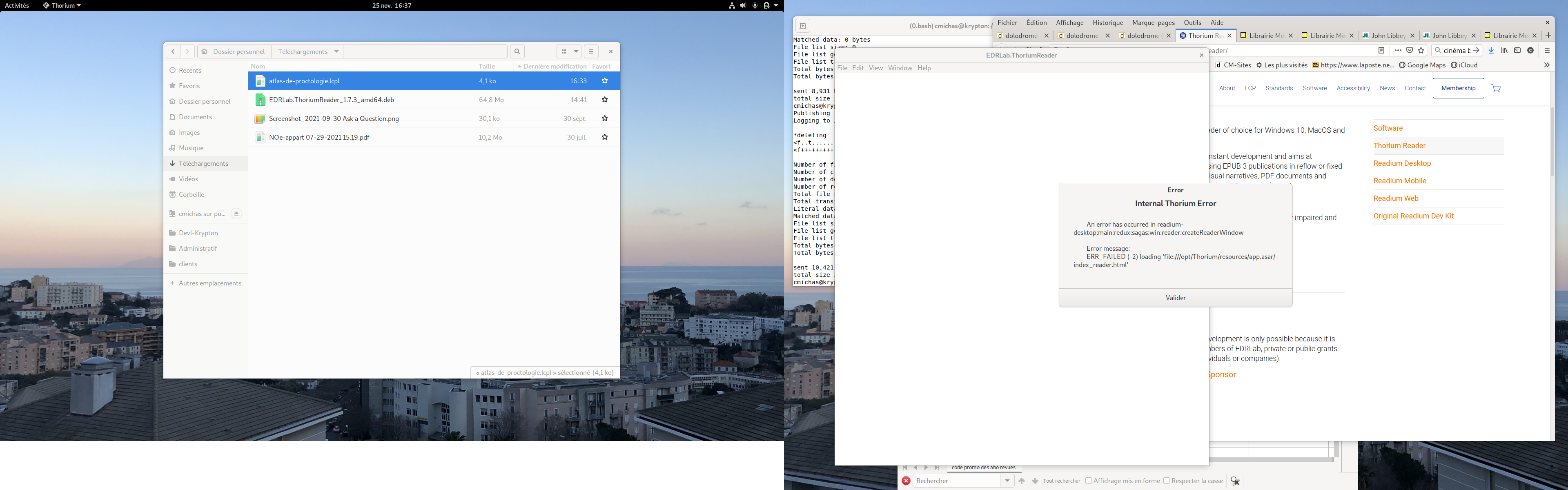 Linux, LCP, crash · Issue #1592 · edrlab/thorium-reader · GitHub