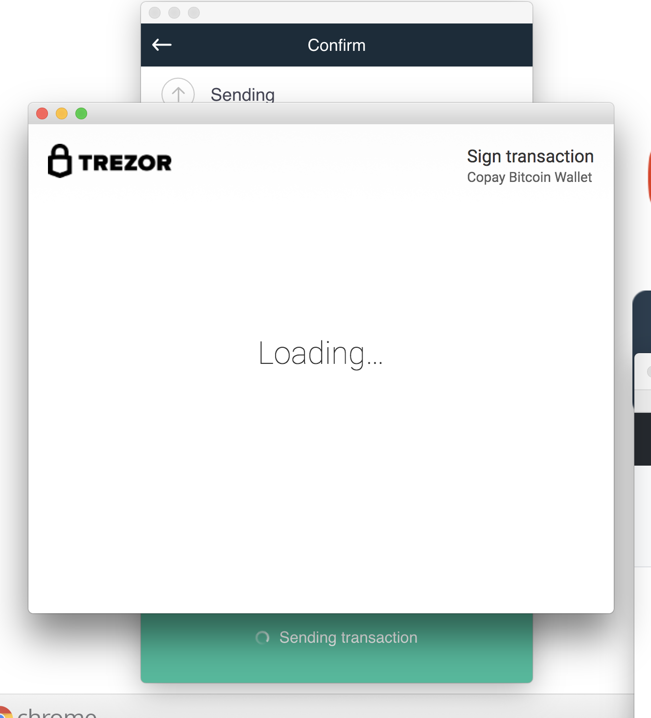 Stuck on Loading screen with Copay/Trezor · Issue #6957 · bitpay/wallet · GitHub