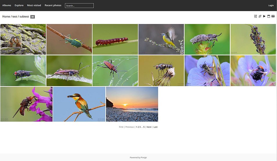 please optimize default interface of Piwigo for 1920x1080 screens ...