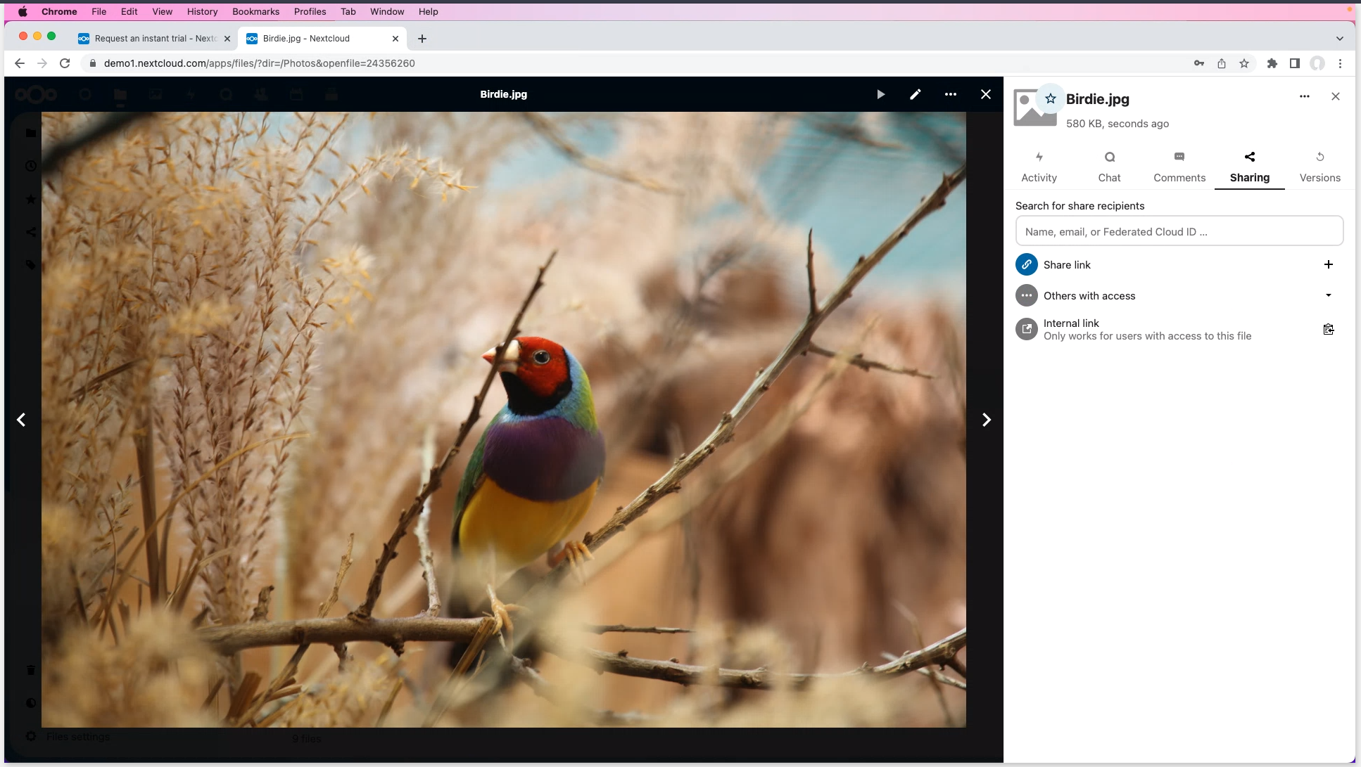 Viewer UI broken when app-sidebar open · Issue #1550 · nextcloud/viewer ...