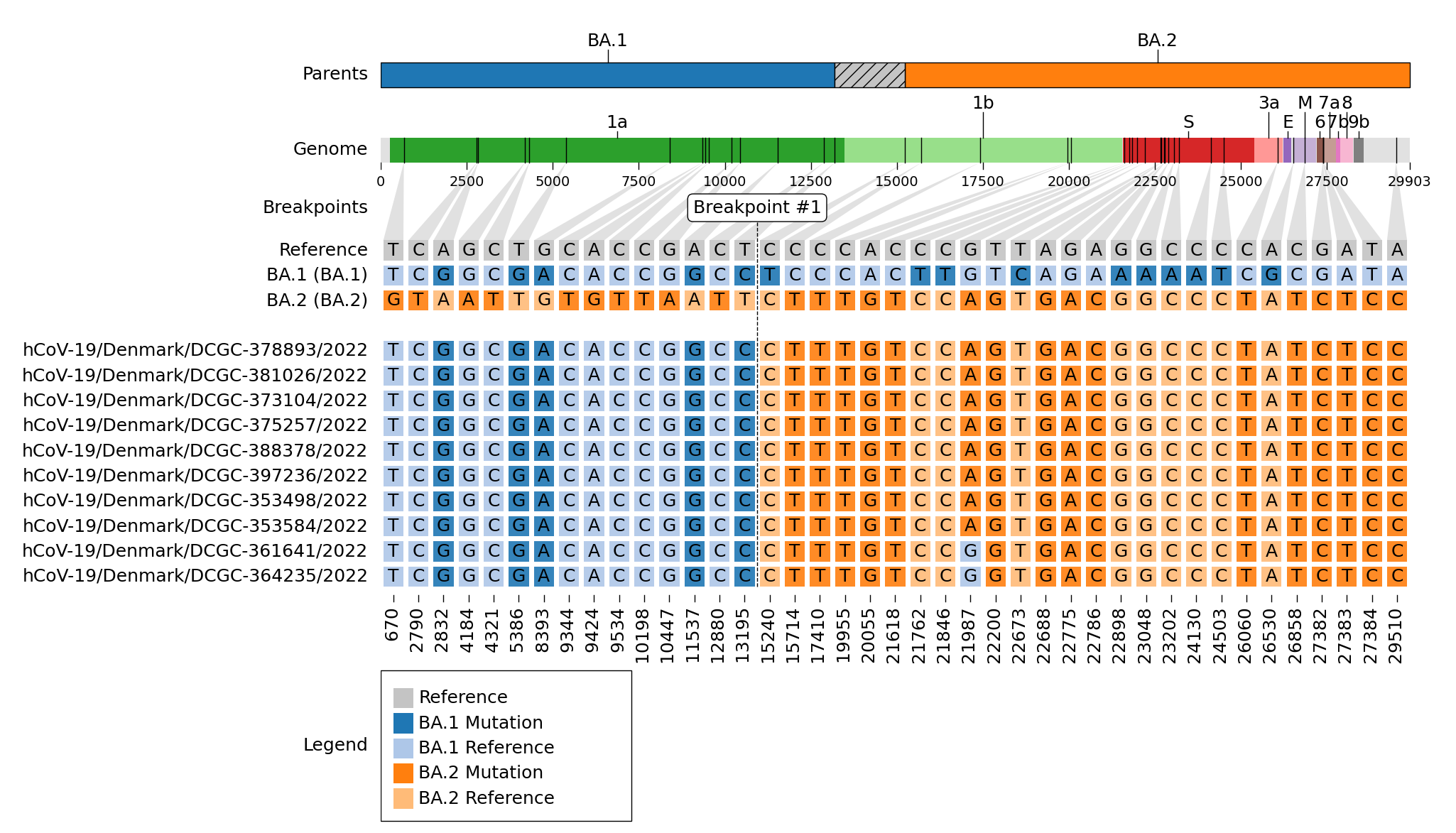 XV misclassified as XJ · Issue #2 · phac-nml/rebar · GitHub