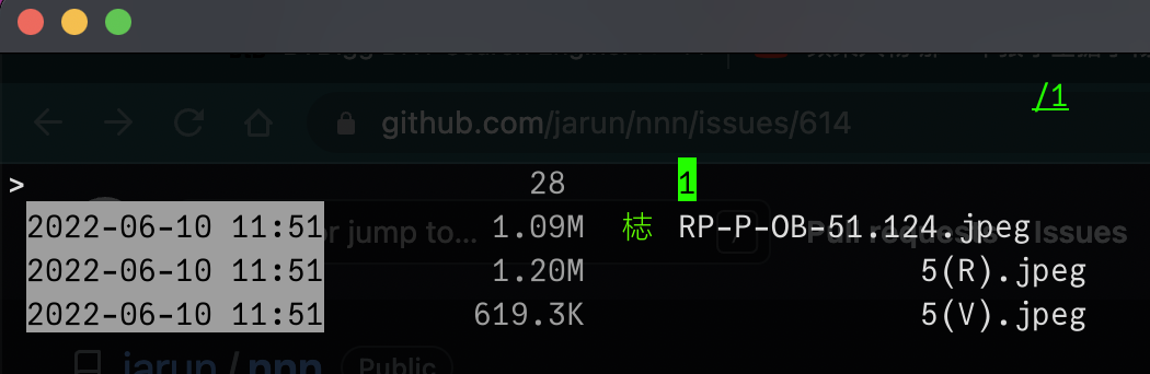 display problem after quitting shell mode in Kitty · Issue #1397 · jarun/nnn · GitHub