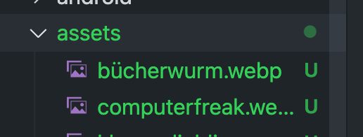 Asset Names Cannot Contain Umlauts · Issue 78725 · Flutterflutter · Github