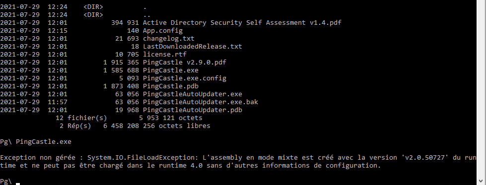 Assembly en mode mixte · Issue #92 · netwrix/pingcastle · GitHub