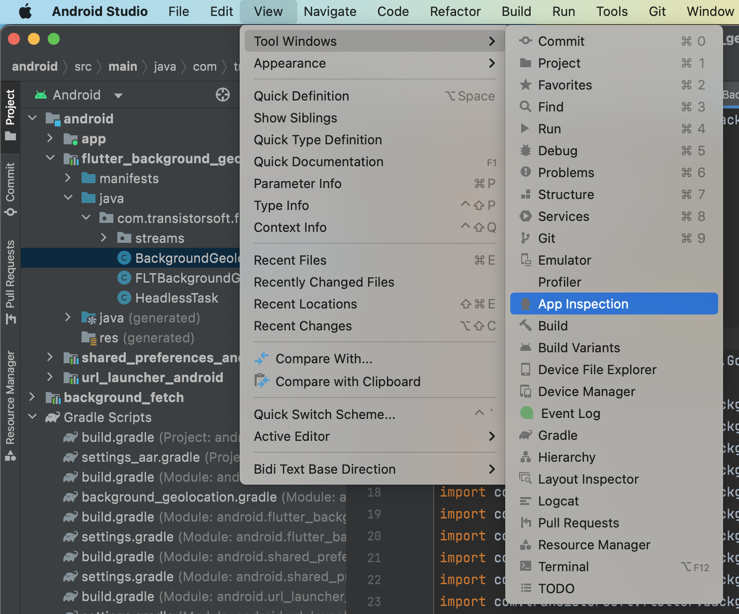 How to check http request body? · Issue #929 · transistorsoft/flutter_background_geolocation ...