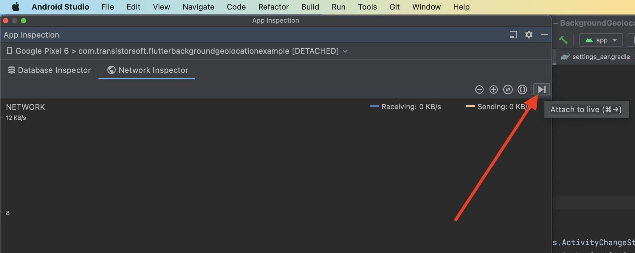 How to check http request body? · Issue #929 · transistorsoft/flutter_background_geolocation ...