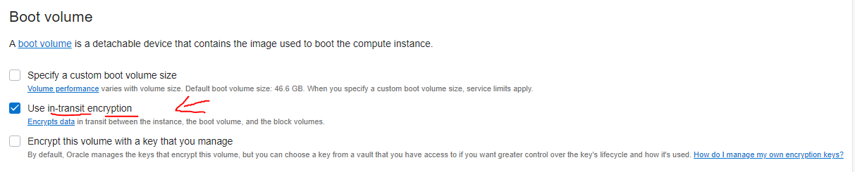 how to set Use in-transit encryption · Issue #20 · hitrov/oci-arm-host-capacity · GitHub