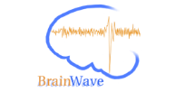 GitHub - cheynelab/brainwave: Current and previous (archived) versions ...