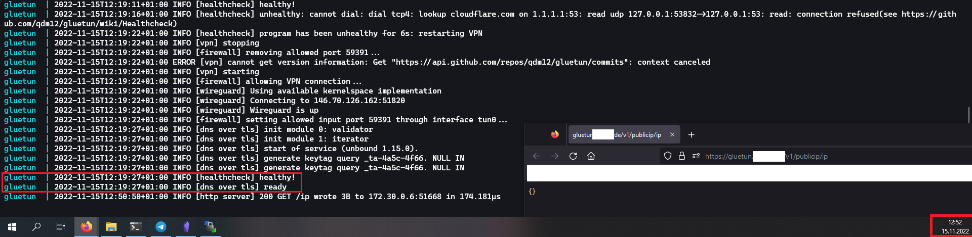 Bug: /v1/publicip/ip empty response after restarting containers · Issue #1243 · qdm12/gluetun ...