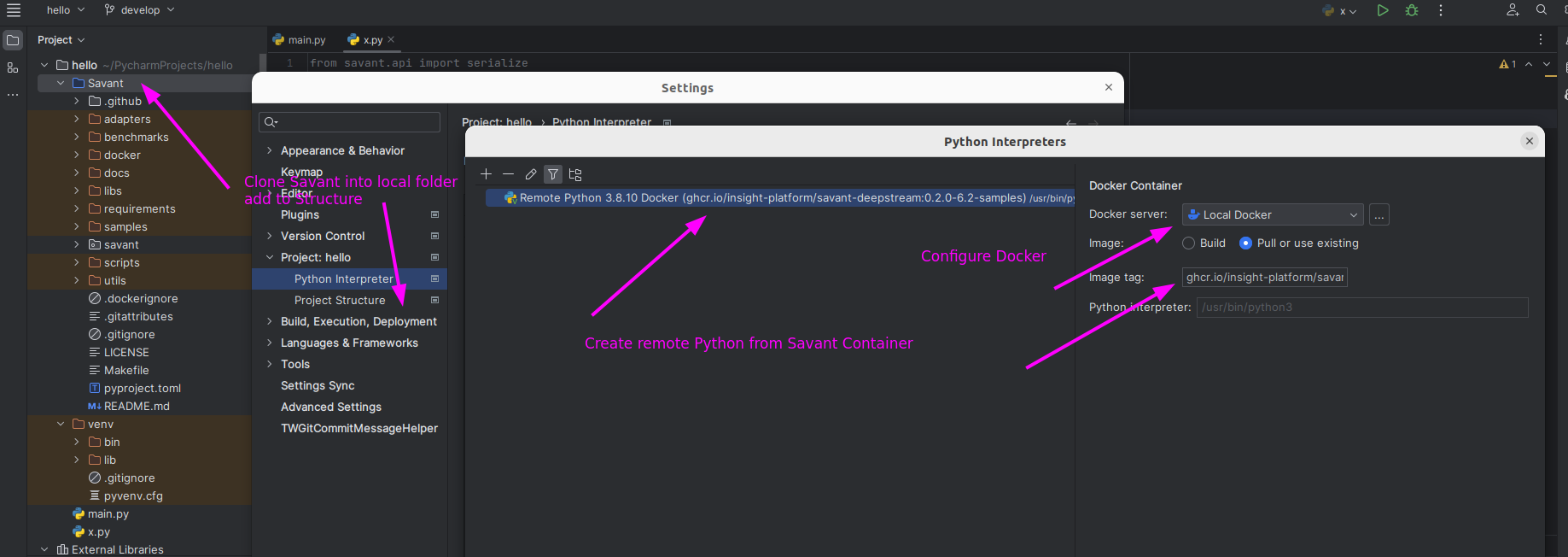 Document how to setup the development environment · Issue #146 · insight-platform/Savant · GitHub