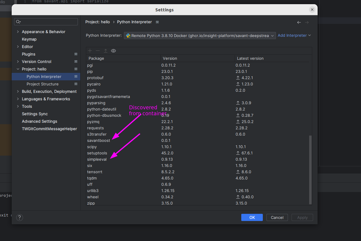Document how to setup the development environment · Issue #146 · insight-platform/Savant · GitHub