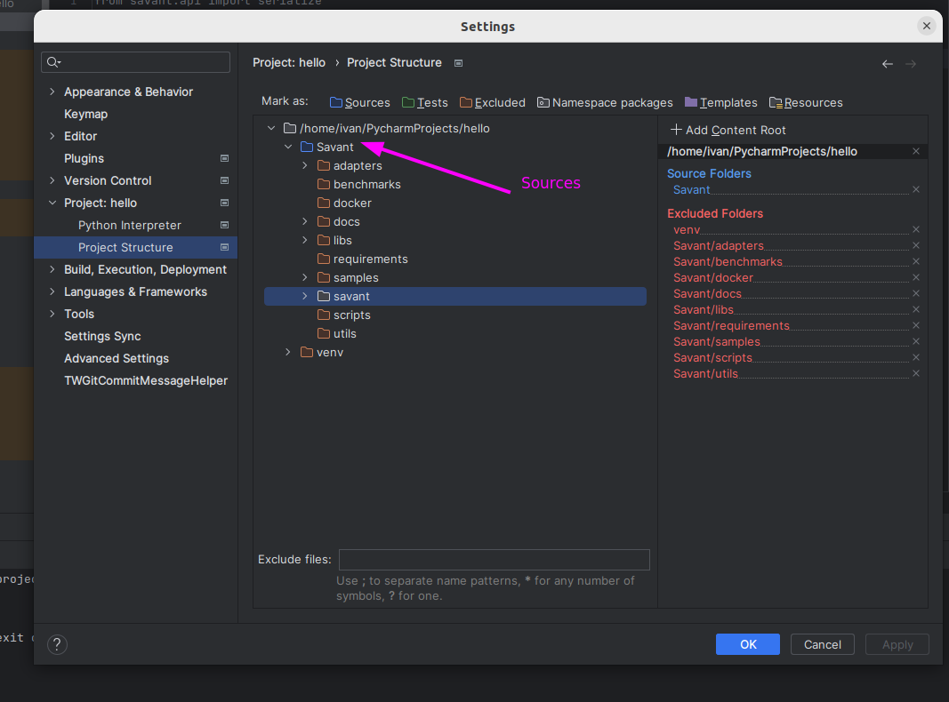 Document how to setup the development environment · Issue #146 · insight-platform/Savant · GitHub