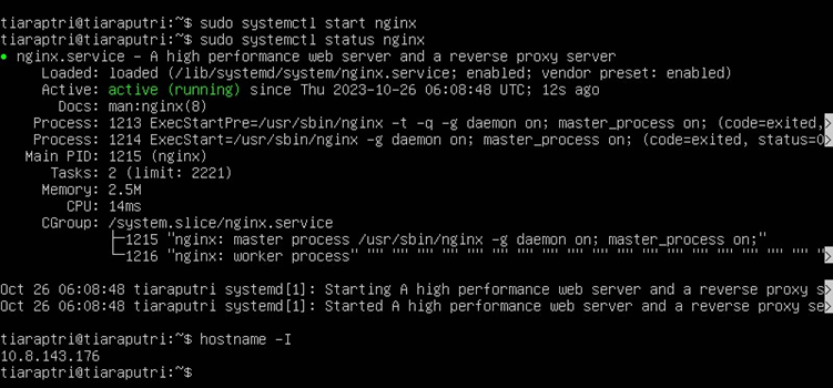 GitHub - Tiaraputri06/Tiara-Putri-Amanda_Laporan-Apache2-Wordpress-Nginx-Tableau-Pemrosesan-Paralel