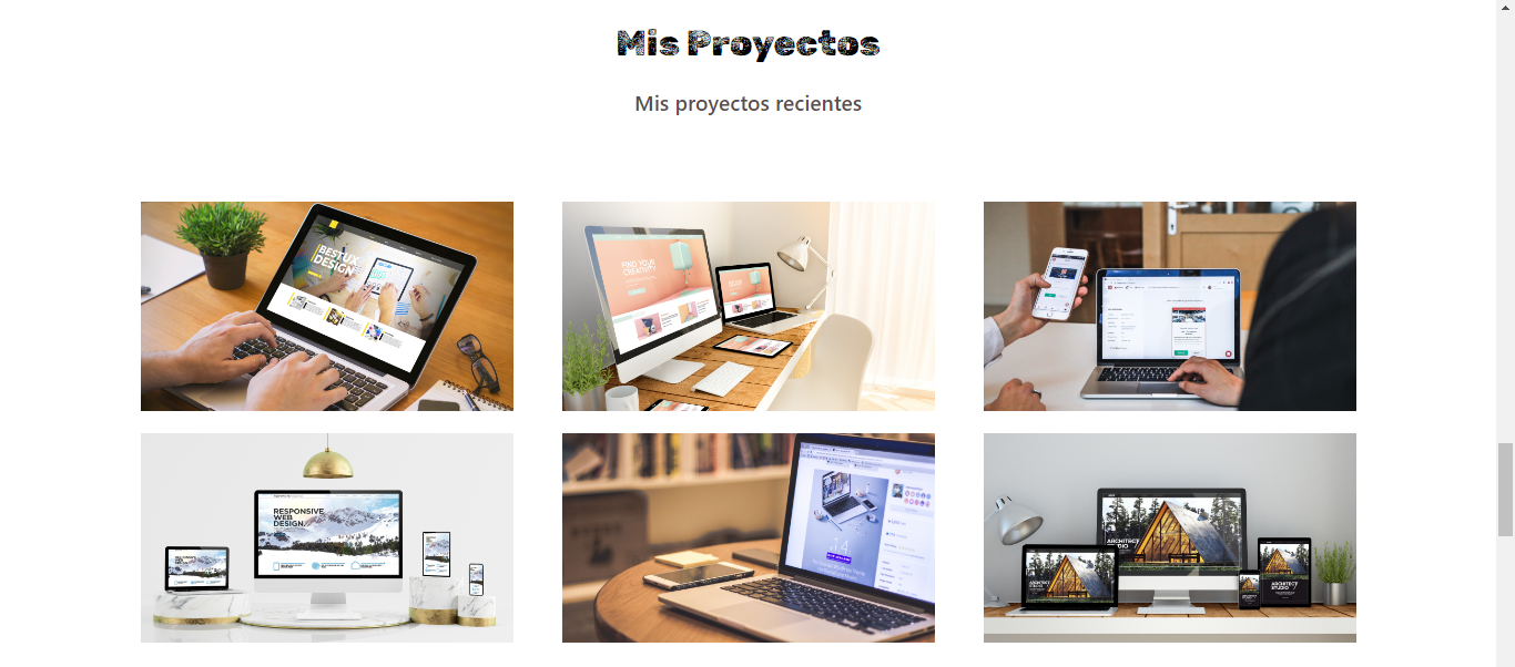 GitHub - Raul-Olvera/Portafolio-Taller-Desarrollo-Web-con-CSS-2023-2: Proyecto portafolio