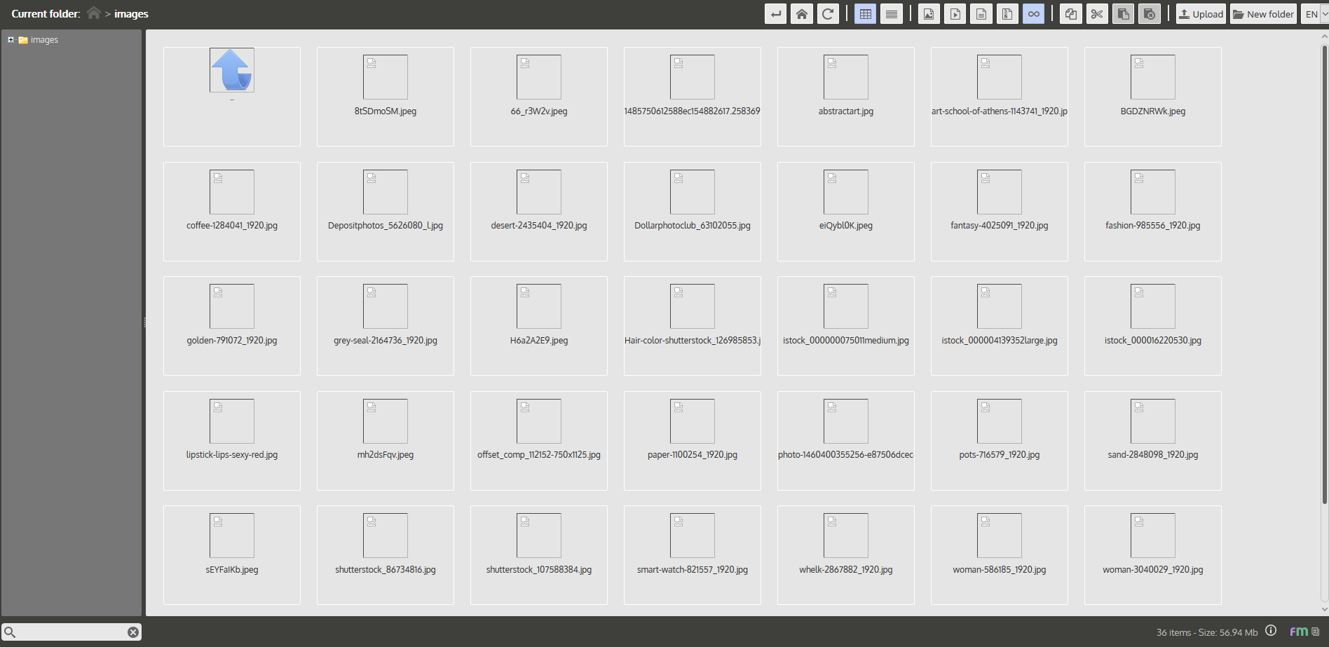 No thumbs · Issue #386 · psolom/RichFilemanager · GitHub