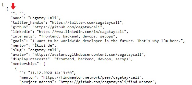 Missing variable name in json · Issue #159 · findmentor-network/find-mentor · GitHub