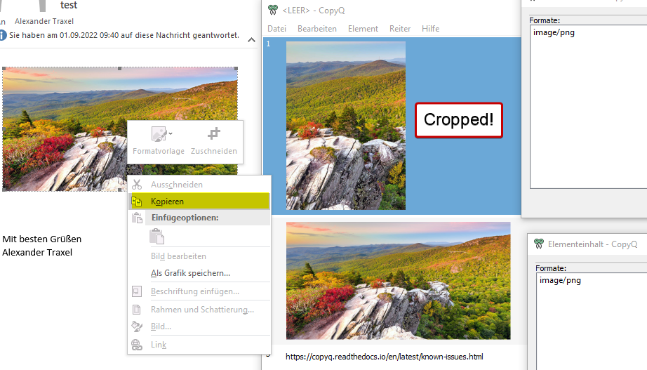Copying inline image from outlook results in truncated/cropped picture · Issue #2068 · hluk ...