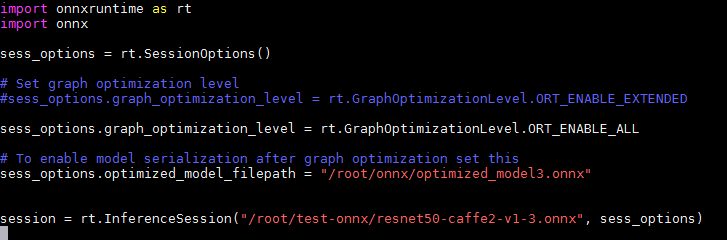 ONNX Runtime only *guarantees* support for models stamped with opset ...