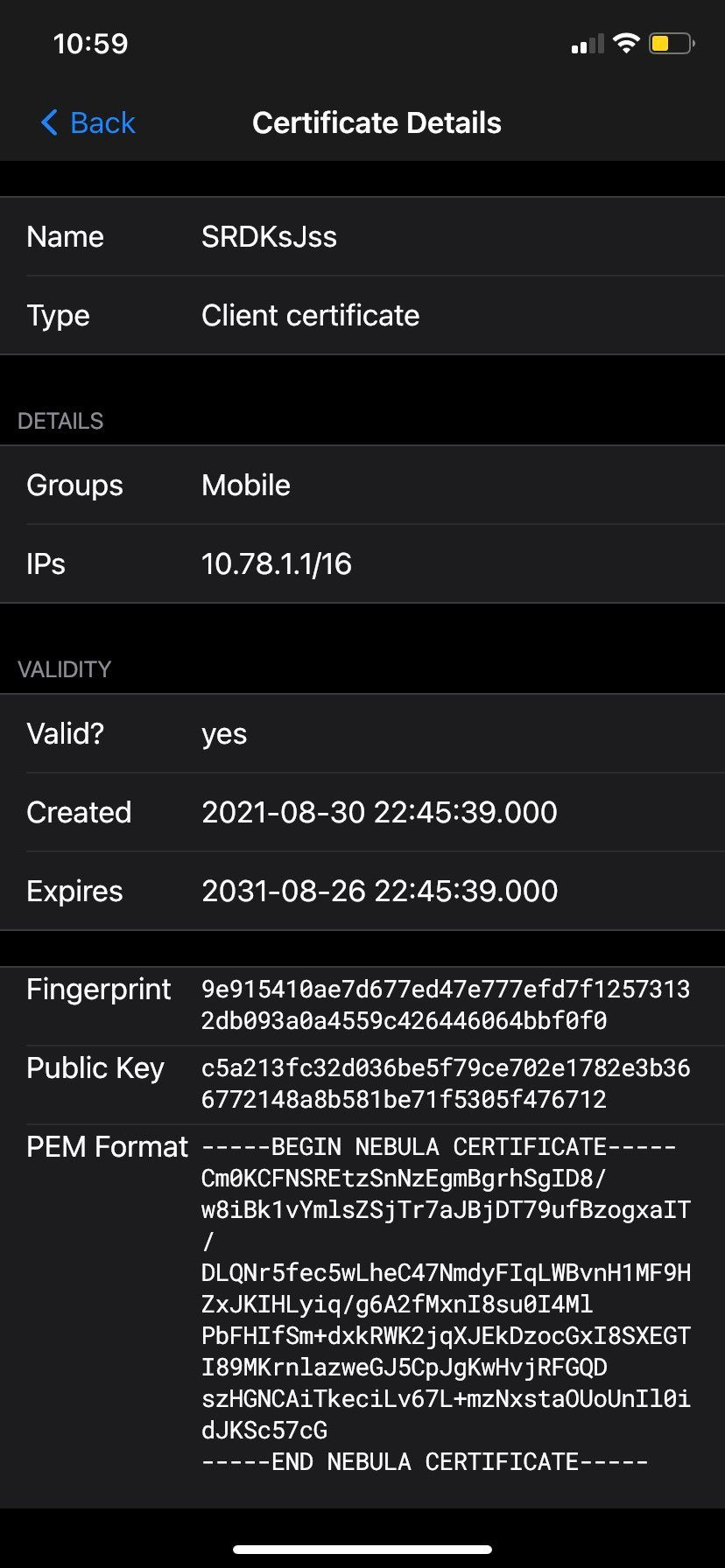 iOS App Generating Invalid Key Pairs · Issue #517 · slackhq/nebula · GitHub