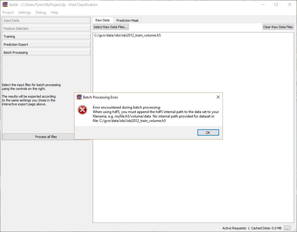 hdf5 internal path is not supported in batch processing applet · Issue #1854 · ilastik/ilastik ...