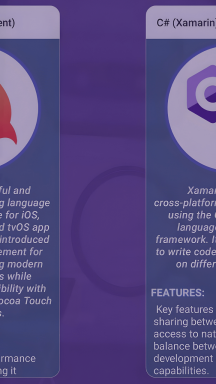 GitHub - jamlumauig00/Programming-Linguist: Programming Linguist: Kotlin Quiz Dive into Android ...