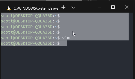 Copy and paste newline behavior changes after certain programs are ...