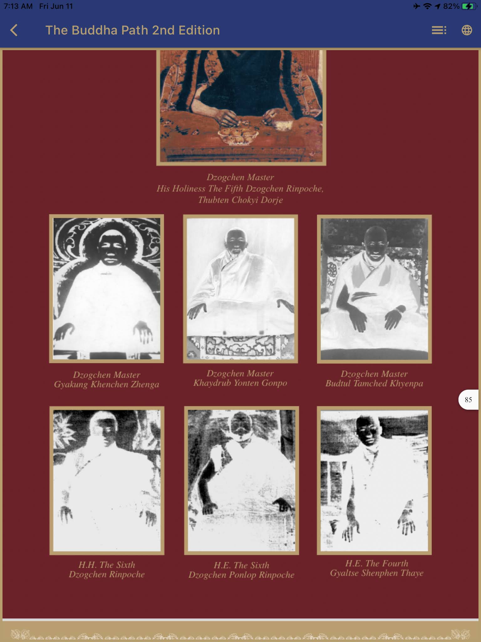 Negative Images · Issue 280 · Syncfusionflutter Widgets · Github