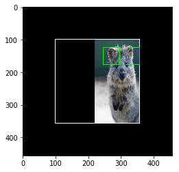 Dealing with bounding boxes outside of the image issues · Issue #213 · aleju/imgaug · GitHub